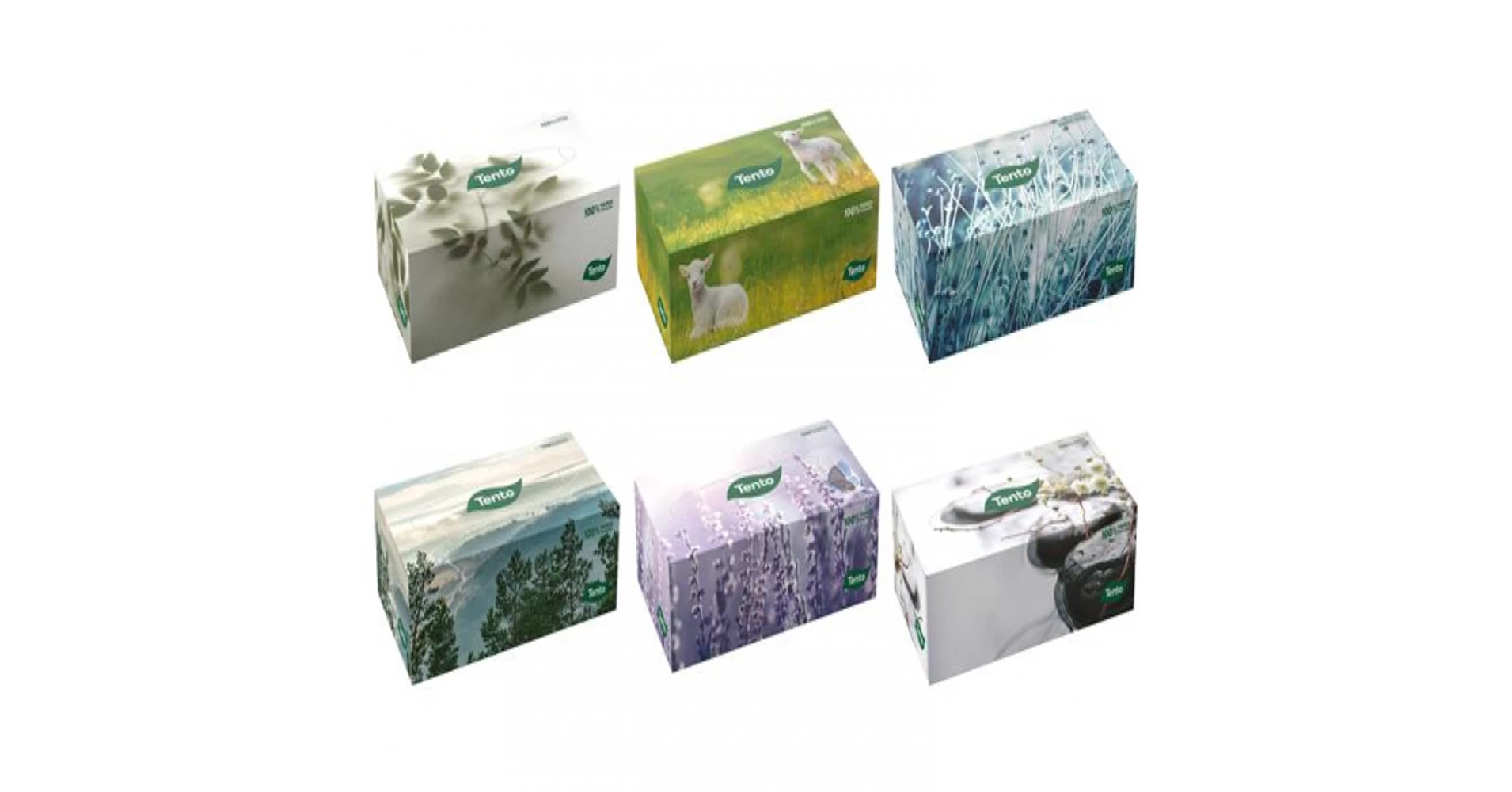 Kozmetikai kendő, 2 rétegű, 120 lapos, TENTO Family Box | Basic-online.hu